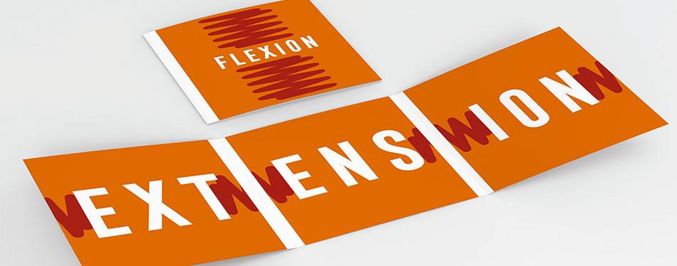 ¡No te pierdas las nuevas medidas de Desplegables en la página web!